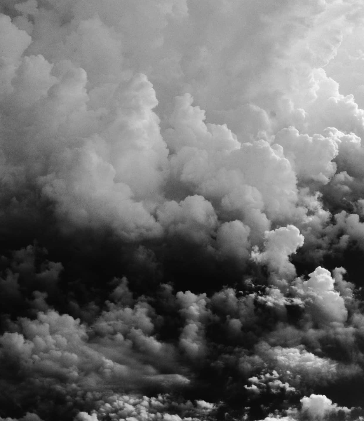 Specialty Insurance | BHI Digital