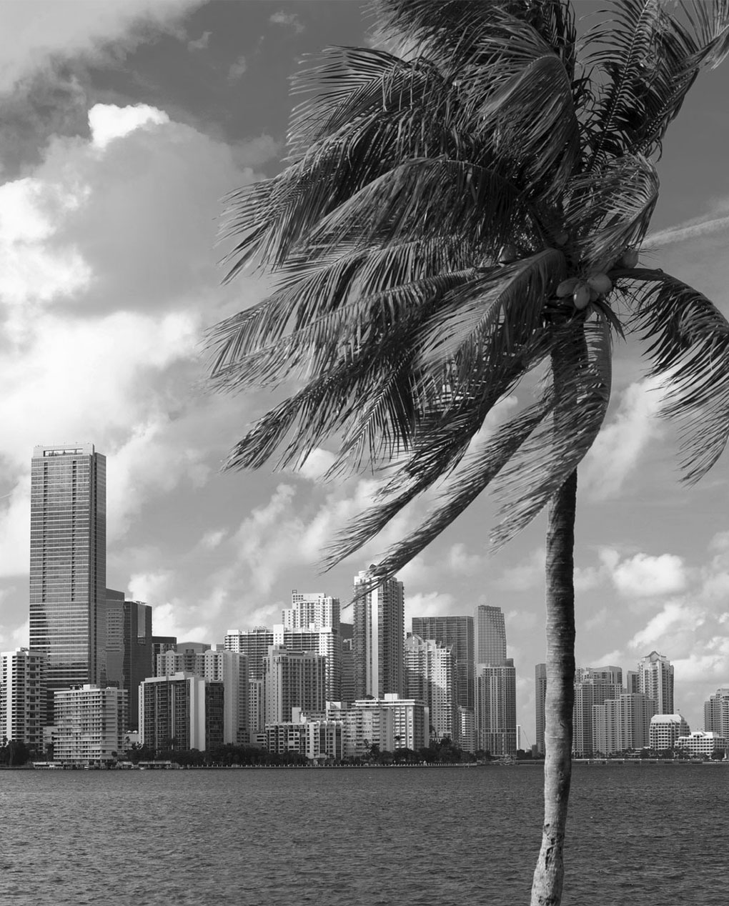 Specialty Insurance | BHI Digital