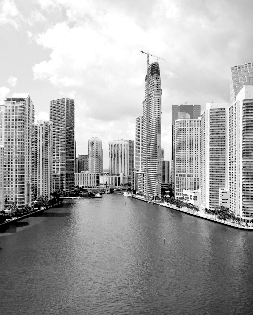 Specialty Insurance | BHI Digital