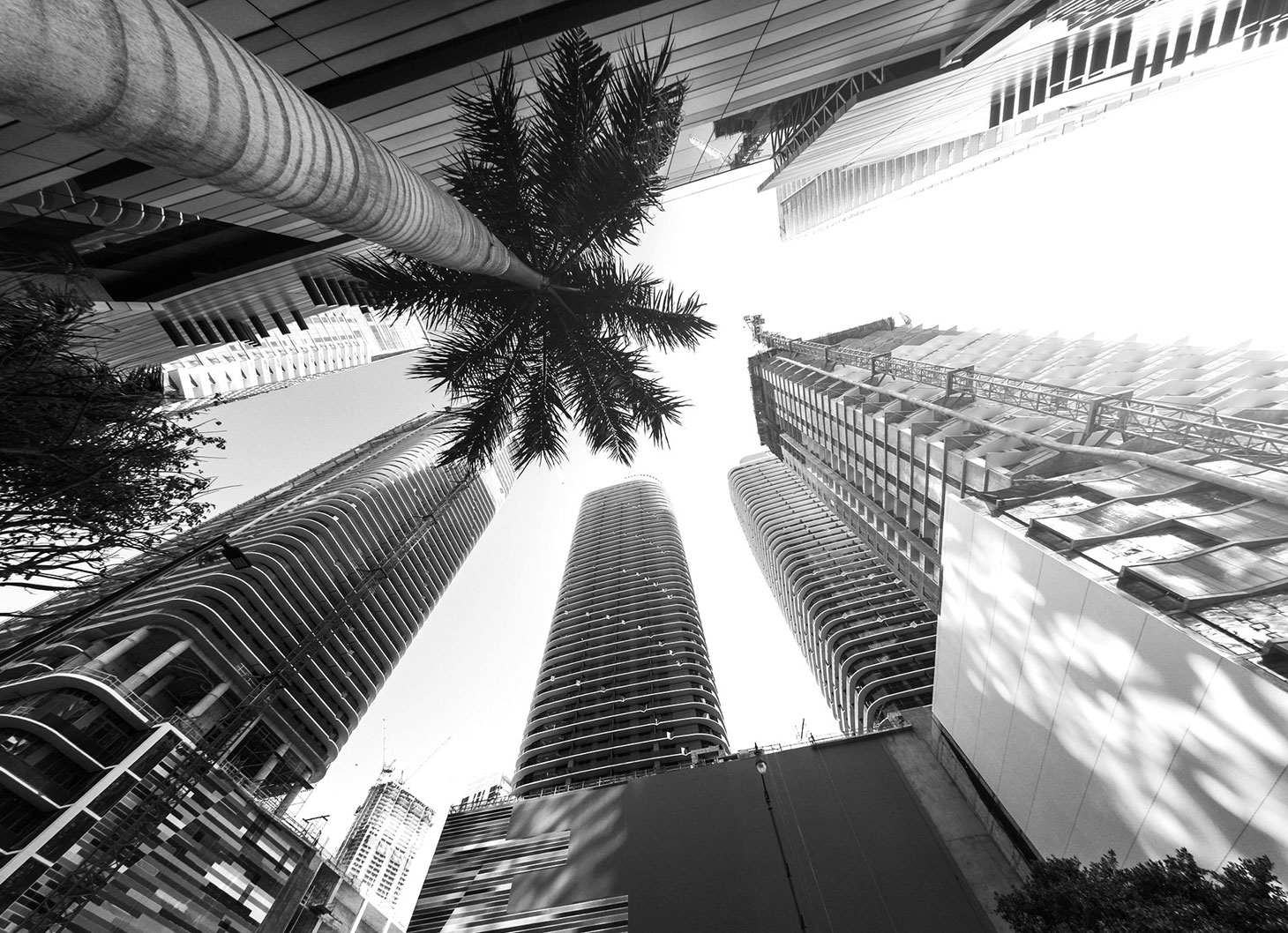 Specialty Insurance | BHI Digital